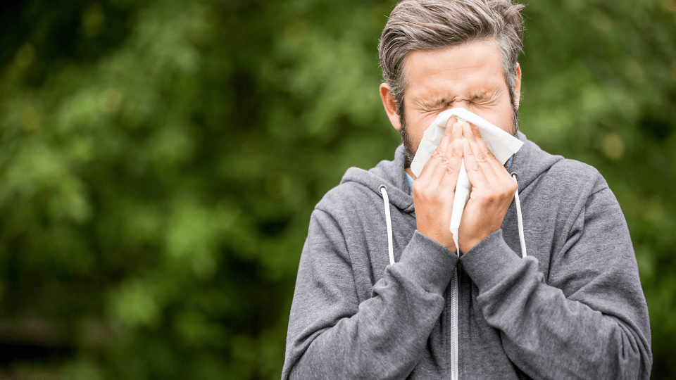 Hay Fever Treatment in Market Harborough - Market Harborough Pharmacy